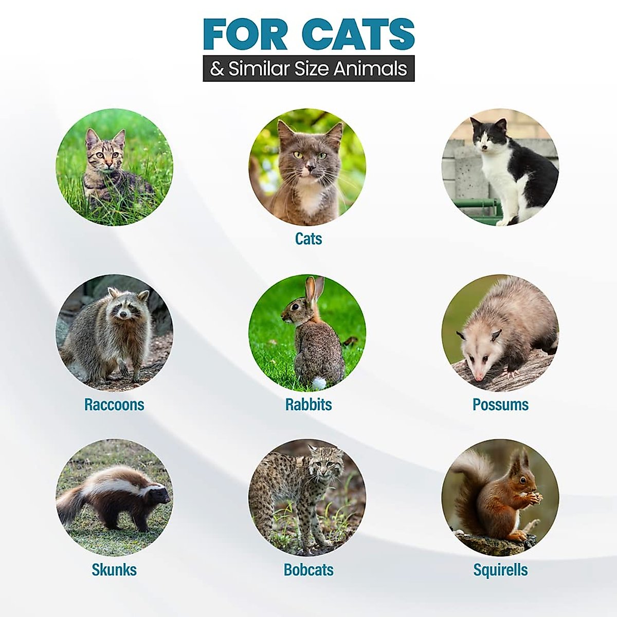 eXuby Large Cat Trap for Stray/Feral Cats & Other Animals - 32"x12"x13” - Catch Them Live & Relocate - Extra Large 8.5" Trigger Platform - Also for; Racoon, Rabbit, Possum, Skunk, Bobcat, Squirrel