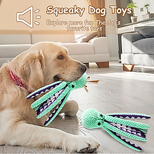 BAODANTECH Plush Dog Squeaky Chew Toys with Durable Soft for Large Dogs Breeds Pet for Aggressive Chewers,Squeaky Dog Chew Toys for Small, Medium, and Large Dog