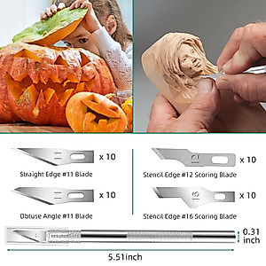 Exacto Knife Set, Craft Cutting Mat Kit, 55 PCS Precision Carving Craft Hobby Knife Kit, With A4 Self Healing Mat, 3 Pcs Craft Knife, Steel Rule, 4 Different Models Exacto Knife for DIY Art Work