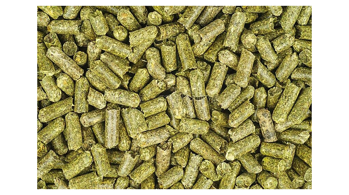 Alfalfa Pellets Animal Feed (Rabbits, Guinea Pig, Etc) 5lbs. by Old ...