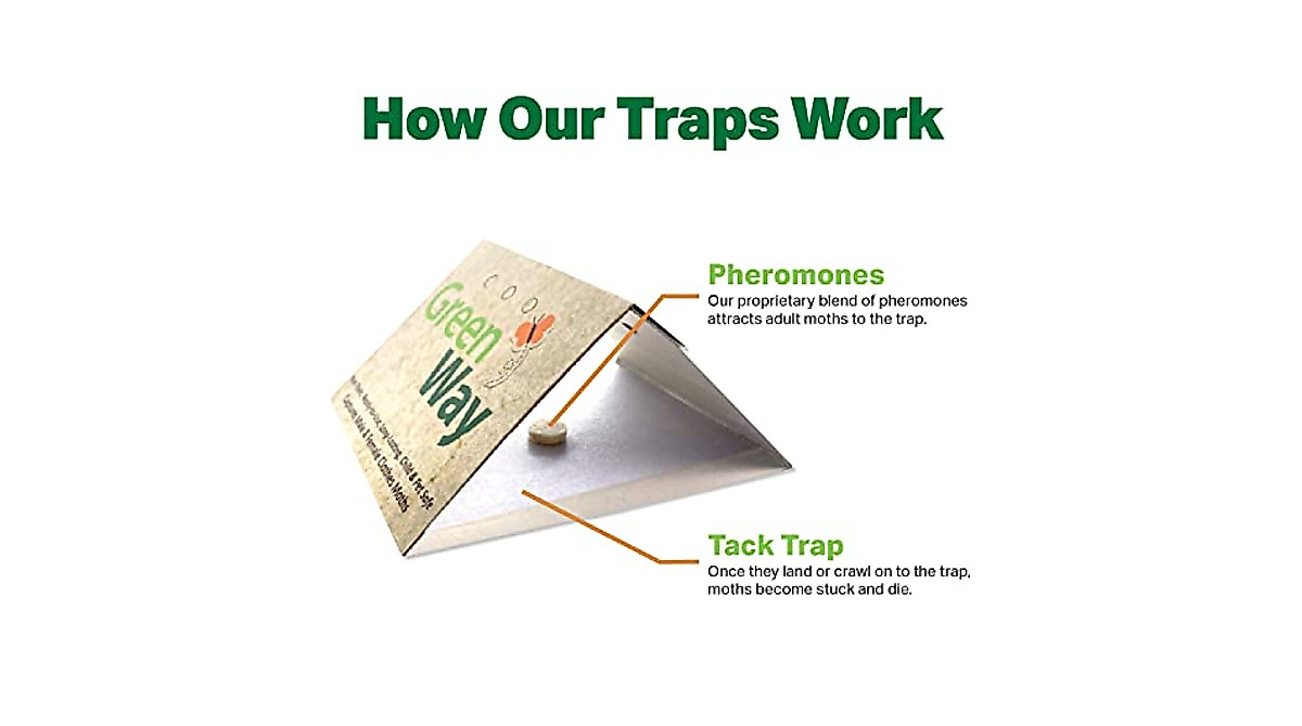 Greenway Food Moth Traps - Effective & Non-Toxic Solution