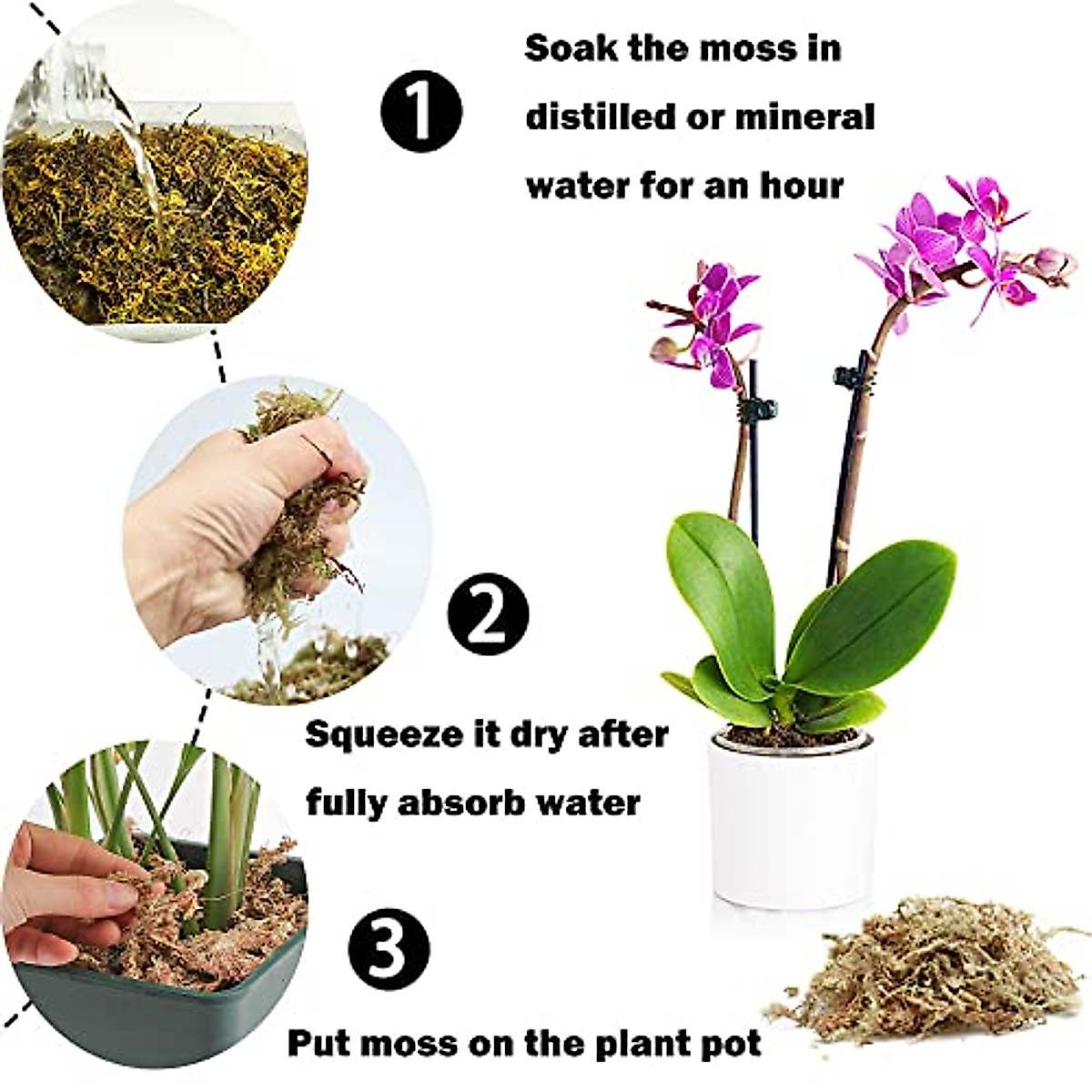 150 Grams Natural Sphagnum Moss Orchid Potting Mix, Organic Carnivorous Dried Peat Moss, Plant Supplies for Indoor Potting Soil, Perlite Blend, Reptile Bedding 3 Quart Sized Bag(Appx.5oz) by Giftape