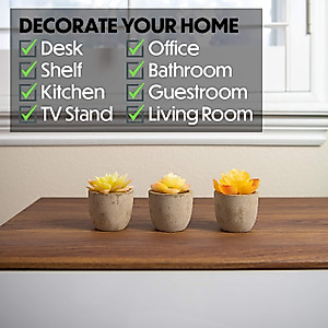 3 Piece Yellow Decor Artificial Succulent Plants in Grey Pots Realistic Greenery Mini Potted Faux Plant Arrangements for Home Decor Office Room Dorm Bathroom Restroom Kitchen Table Centerpieces