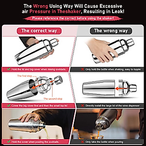 25oz Cocktail Shaker Set 5pcs Martini Shaker Set Portable Bartender Kit with Shaker, Mixing Spoon, Measuring Jigger, 2 Liquor Pour Spouts - Professional 18/8 Stainless Steel Bar Tools for Mixed Drinks