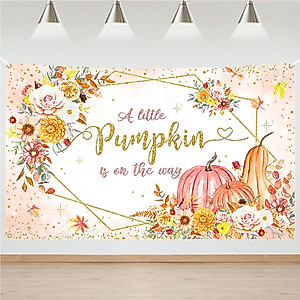 Avezano Fall Pumpkin Baby Shower Banner Backdrop Autumn A Little Pumpkin is on The Way Party Decorations Fall Floral Little Pumpkin Welcome Baby Party Banner for Girl 70.8 x 43.3 Inch