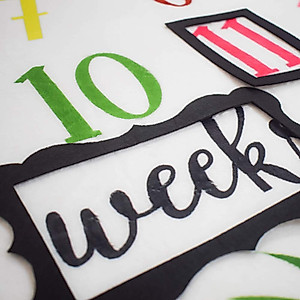 illikkuyax Baby Monthly Milestone Blanket, 40×60 Inches Infant First Year Pink Flamingo Milestone Blanket, Flannel Fleece, Photography Backdrop Photo Prop for Boy Girl