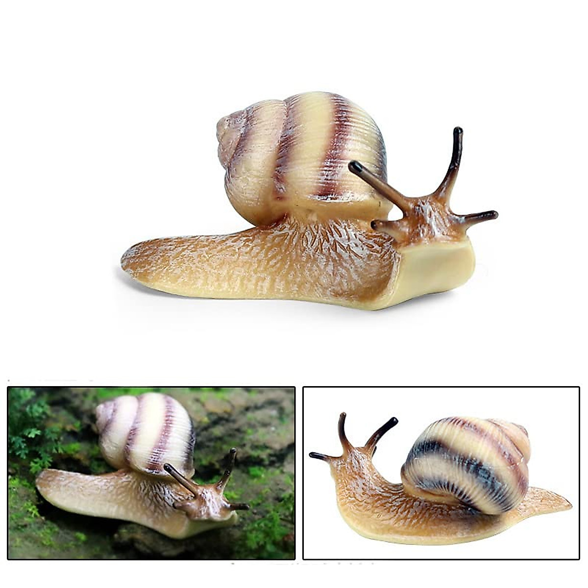 Rich Boxer 8 Pcs Snail Figurines Snail Model Snail Growth Cycle Model Set Plastic Snail Realistic Animal Model for Diorama