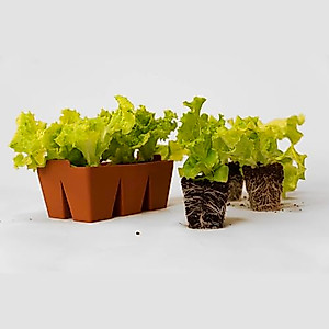 Sili-Seedlings Seed Starting Tray | 100% Silicone | Zero Plastic | Flexible Pop-Out Cells | Reusable Seed Starter Tray | Dishwasher Safe | BPA-Free | 2-Pack (12 XL Cells Total)