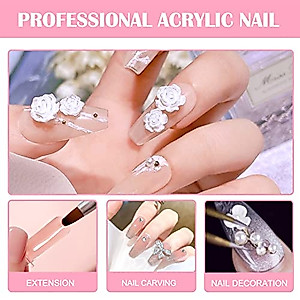 Acrylic Nail Kit with Prep Dehydrator and Primer, Acrylic Nail Powder and Liquid Kit French Clear Nail Tips Glue Brush DIY Nail Kit with Everything