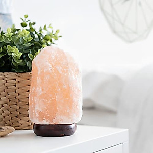 7 Inch Himalayan Salt Lamp with Dimmer Cord - Night Light Natural Crystal Rock Classic Wood Base Authentic from Pakistan