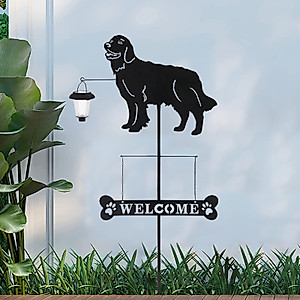 BAYN Solar Golden Retriever Garden Stakes Decorative with a Lantern Dog Silhouette Welcome Sign Outdoor Garden Decor for Yard, Lawn, Patio, Pathway