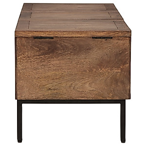 Signature Design by Ashley Braddick Trunk, Light Brown and Black