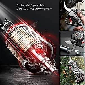 Garden Trimmer Electric Secateurs Cordless Pruning Shears with Lithium Battery Powered 6-8 Working Hours Tree Branch Pruner LCD Display Screen 50mm/2 in Cutting Diameter (Size : with 1 Battery)