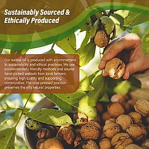 Walnut Oil 4 fl. oz. - Cold Pressed 100% Pure Natural - Skin, Body, Face, and Hair Growth Moisturizer. Great For Creams, Lotions, Lip balm and Soap Making