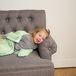 Bamboo Rayon Soft Light Green Toddler Security Blanket - Lime Green Baby Blanket with Satin Edging - Perfect for Naps, Car Carrier, Stroller Rides and Travel - 34 x 47 inches - Newborn Baby Blankie