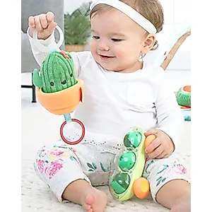 Skip Hop Baby Stroller Toy, Farmstand Grow & Play Jitter, Cactus