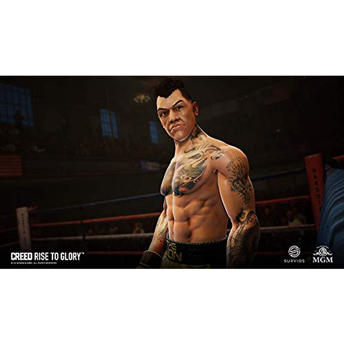 Creed: Rise to Glory (PSVR) (PS4)