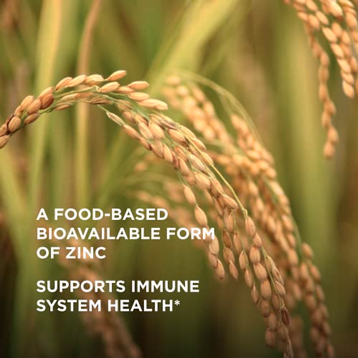 Solgar Earth Source Food Fermented Koji Zinc 25mg, 60 Vegetable Capsules - Higher-Absorption, Bioavailable Zinc for Immune & Skin Health - Non-GMO, Vegan, Gluten Free, Dairy Free, Kosher - 60 Servings