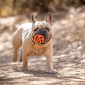 Chuckit Air Fetch Ball Dog Toy, Medium (2.5 Inch Diameter), for dogs 20-60 lbs, Pack of 2