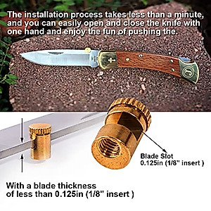 FLAMEDUKE Knife Thumb Studs for Buck 110 Thumb knife for Buck 112 2pcs With Hex for Buck Pocket Knife Edc Knife