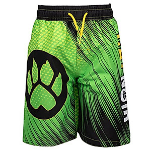 Miraculous Cat Noir Little Boys Pullover Swim Rash Guard Swim Trunks Green 5