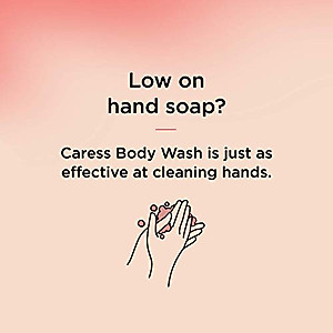 Caress Beauty Bar Soap For Silky, Soft Skin Daily Silk With Silk Extract and Floral Oil Essence 8 Bars 3 Count