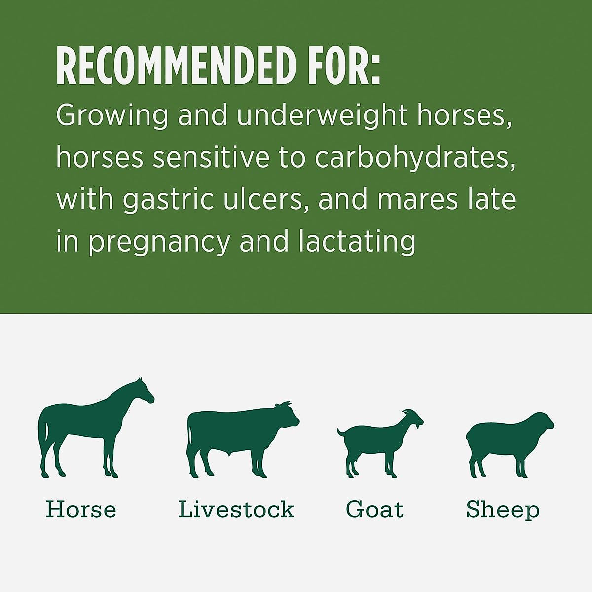 STANDLEE HAY COMPANY 1100-20010-0-0 Alfalfa Bale, 50 lb