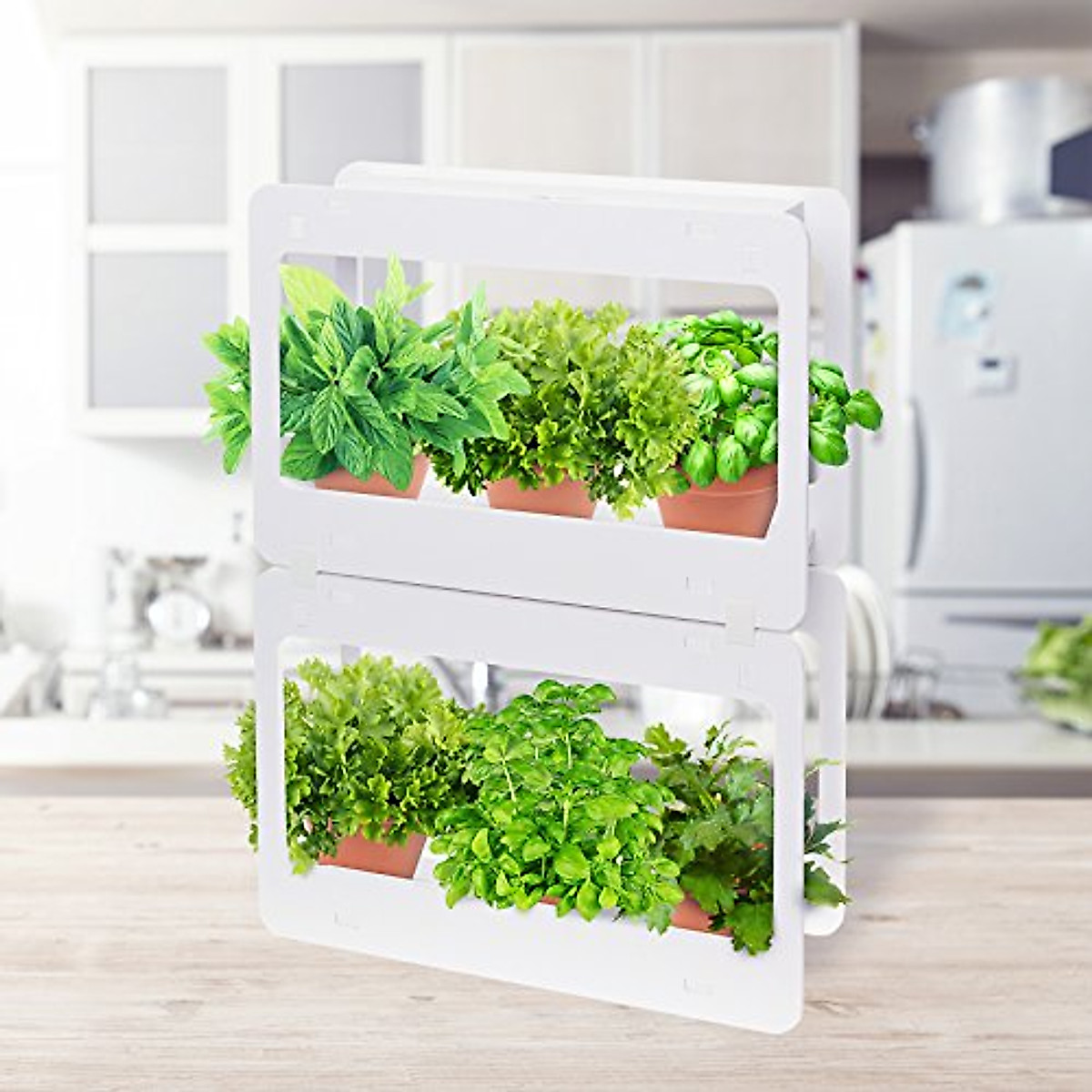 Indoor Herb Vegetable Plant Garden Kit, LED Grow Light Timer & Remote, Planter Grower Kitchen- Stocking Stuffer Unique Gift Holiday Christmas