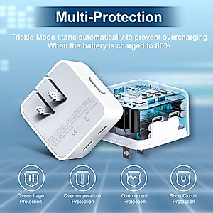 35W Dual USB-C Port Compact Power Adapter PD Foldable USB Type C Plug Fast Wall Charger Block for Android, iPhone 15 14 13 12 11 Pro Max Plus Mini, iPad