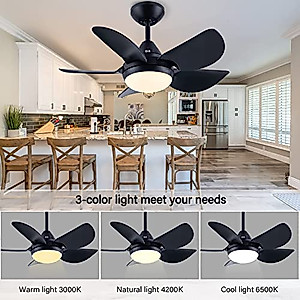 CJOY Small Ceiling Fan with Light, 30 inch Black Ceiling Fans with Lights and Remote, Bedroom Ceiling Fans with Lights Dimmable, 5 ABS Reversible Blades Fan Light for Kid Room