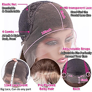 Hermosa 13x4 Brown Lace Front Wigs Human Hair with Baby Hair 180 Density Hd Straight Lace Frontal Human Hair Wigs Pre Plucked Hairline 4# Brown Wig 24 Inch