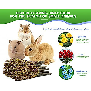 Abizoo Bunny Chew Toys for Rabbits,18PCS Natural Apple Wood Sticks with Petals Good for Chinchillas Guinea Pig Hamster Teeth Care, Bunny Small Pet Treats Teething Toys| Natural Organic Safe