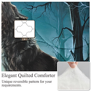 Dream Catcher by JoJoesArt Wolf Moon Comforter Set Full Size Bedding with Wolves 4 Pieces Galaxy Wolf Bed Set for Kids Boys Soft Lunar Eclipse Bedspreads with 2 Pillow Shams 1 Cushion Cover (Full)