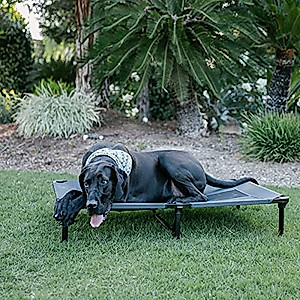 Lucky Dog 48'' Elevated Pet Bed Cot | Indoor & Outdoor Use | Gray