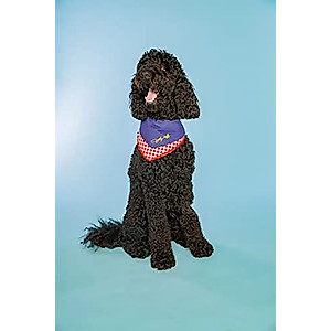 Doggy Parton Blue Printed Denim & Gingham Print Bandana for Pets, X-Small/Small (22120719)