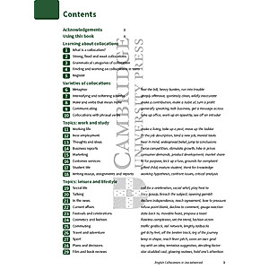 English Collocations in Use Advanced Book with Answers: How Words Work Together for Fluent and Natural English (Vocabulary in Use)