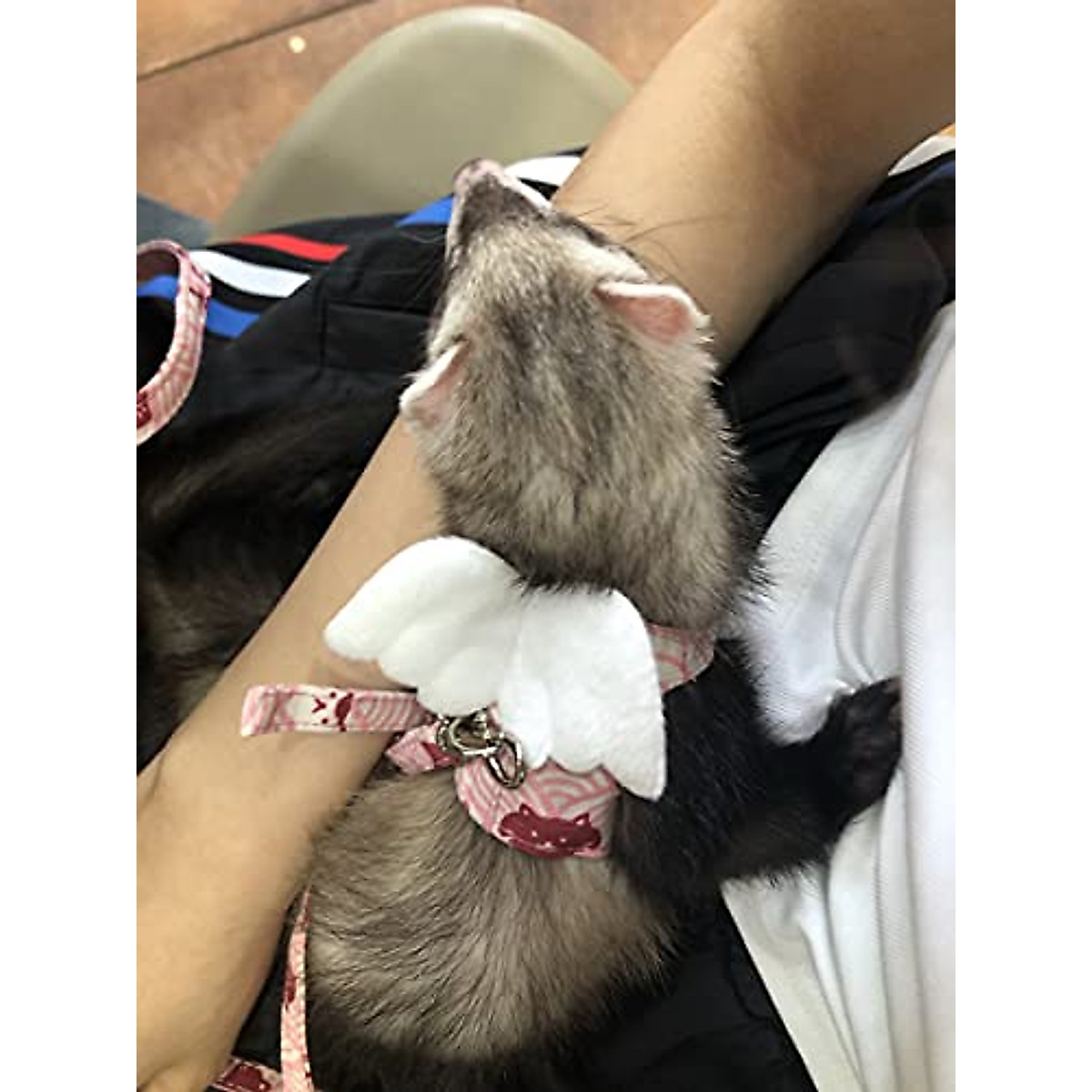 Ferret Harness and Leash - Soft Mesh Small Pet Harness with Wings and Safe Bell, No Pull Comfort Padded Vest for Ferret, Guinea Pigs, Chinchilla and Similar Small Animals (3 Pack)