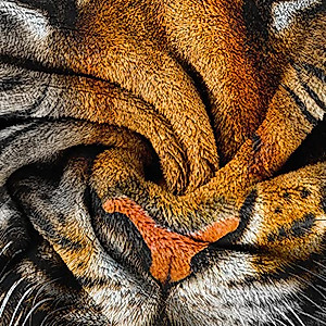 Flannel Blankets, Warm Decor Fleece Throw Blanket Soft Couch for Sofa Bed 50"X60" (Tiger)