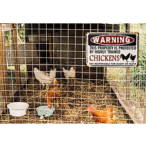 Bestylez Funny Chicken Coop Warning Sign Outdoor Chicken House Decor Gifts For Chicken Lovers 12" * 8" (219)