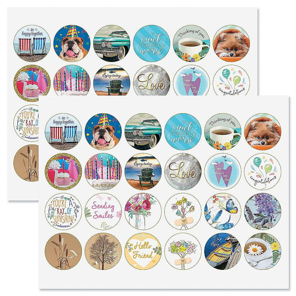 Current Modern Messages All Occasion Value Pack With Seals-40 Cards & Envelopes, Celebration, Get Well, Sympathy, Birthday, Holiday, & Thinking of You Variety, Large 5" x 7" Assortment, 20 Design Set