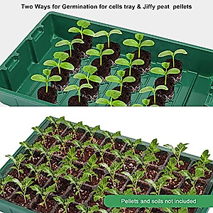 MIXC Seedling Trays Seed Starter Tray, 5-Pack Mini Propagator Plant Greenhouse Grow Kit with Humidity Vented Domes and Base for Seeds' Starting (40 Cells Per Tray, Total 200 Cells), Green