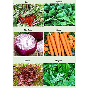 Set of 20 Assorted Organic Vegetable Seeds & Herb Seeds for Planting 20 Varieties Create a Deluxe Garden All Seeds are Heirloom, 100% Non-GMO Lettuce Seeds, Sweet & Hot Pepper Seeds, Green Onion Seeds