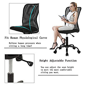 Ergonomic Office Chair with Lumbar Support Mesh Chair with Wheels Rolling Swivel Back Support Adjustable Executive Desk Chair, Modern PC Computer Desk Chair for Home Office Women Men by XXFBag - Black