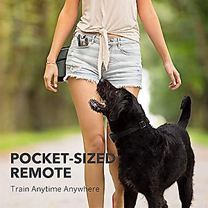 DOG CARE Dog Training Collar with Remote - Rechargeable Training Collar with Beep, Vibration and Shock Training Modes, Dog Collar for Large Medium Small Dogs, Rainproof E-Collar for Dogs