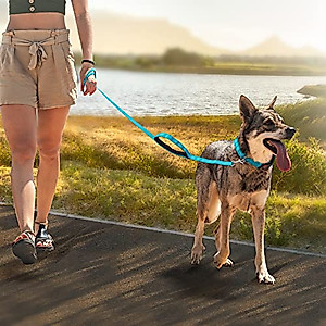 Tpotato Reflective Dog Collar And Leash Set,Adjustable Neoprene Padded Nylon Collars, 6 FT Heavy Duty Dog Leash 2 Comfortable Handles Safety Locking Buckle for Puppy Small Medium Extra Large Breed Dog