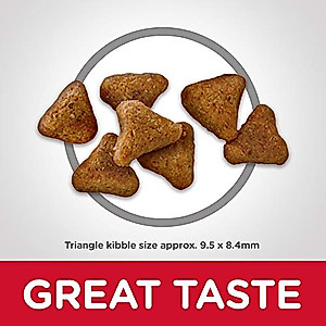 Hill's Science Diet Dry Cat Food, Adult, Indoor, Chicken Recipe, 3.5 lb. Bag