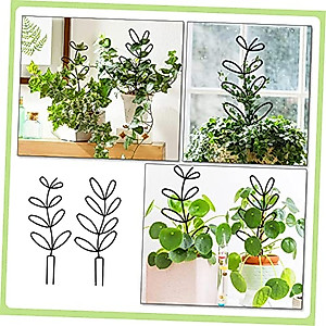 YARNOW 6 Pcs Plant Climbing Frame Indoor Decor Houseplants Live Indoor Green Roses Trellises for Plants Plant Cages Vine Plant Trellis Indoor Plant Trellis Plant Climbing Stand Iron Black