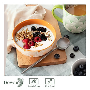 DOWAN Ceramic Cereal Bowls, Vibrant Color Soup Bowls, 26 Ounce Porcelain Kitchen Bowls for Cereal Soup Rice Pasta Salad and Dessert, Dishwasher & Microwave Safe, Set of 4