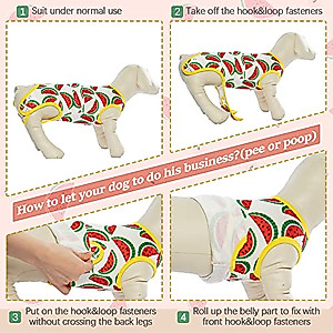 Bonaweite Dog Recovery Suit After Surgery, Pet Professional Surgical Shirt for Male Female Dogs Abdominal Wounds Bandage, Substitute E-Collar & Cone, Post-Operative Puppy Cat Onesies Snugly Vest