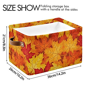 Fall Maple Leaves in Autumn Storage Basket,Large Storage Bin Fabric Collapsible Organizer Bag with Handles 15x11x9.5 inch